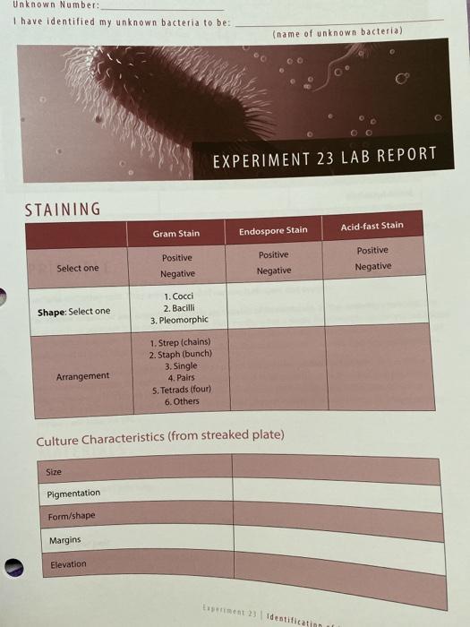 Unknown Number: I have identified my unknown bacteria | Chegg.com