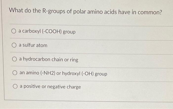 Solved What do the R-groups of polar amino acids have in | Chegg.com
