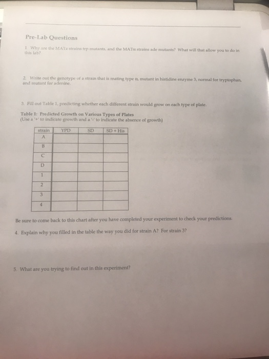 Week 7 - YEAST COMPLEMENTATION LABORATORY | Chegg.com