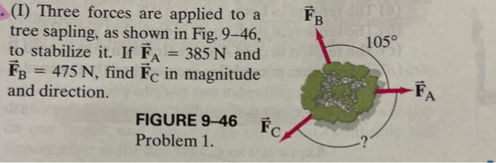 Solved (I) Three forces are applied to a tree sapling, as | Chegg.com