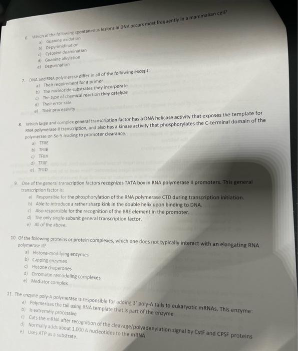 Solved 6. Which ofthe folowing spontaneous lesionsin DNA | Chegg.com