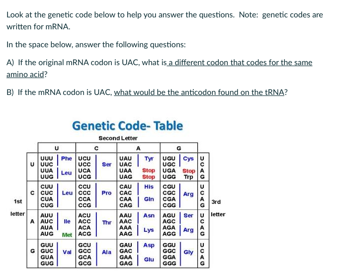 Solved Help Solve. Look at the genetic code below to help | Chegg.com