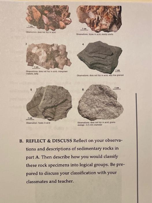 Solved Sedimentary Rock Inquiry Name: Course/Section: Date: | Chegg.com
