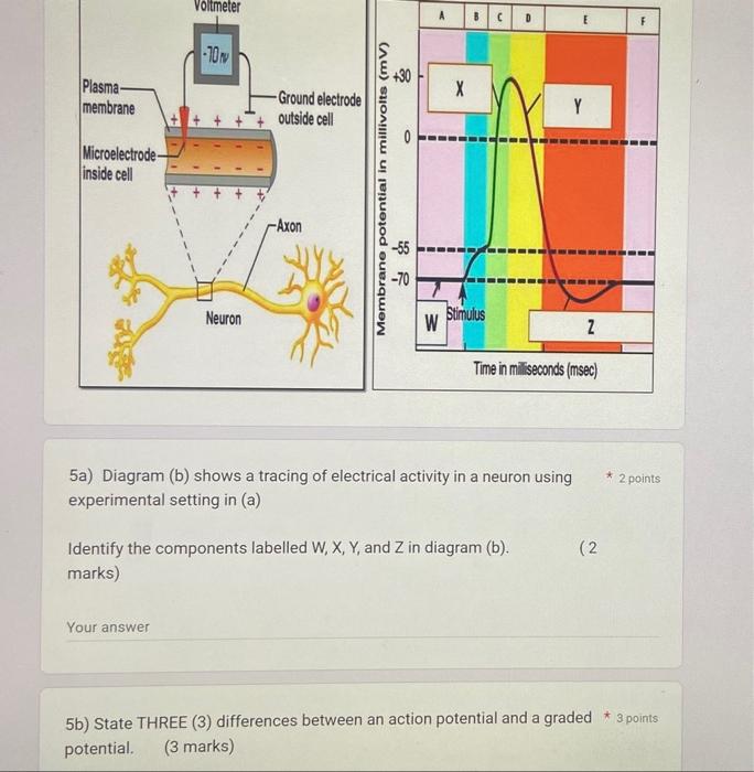 Solved 5a) Diagram (b) shows a tracing of electrical | Chegg.com