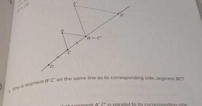 Solved Why is segment B'C' ﻿on the same line as its | Chegg.com