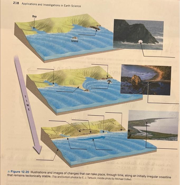 Solved On Figure 12.20, page 218 , identify the features | Chegg.com