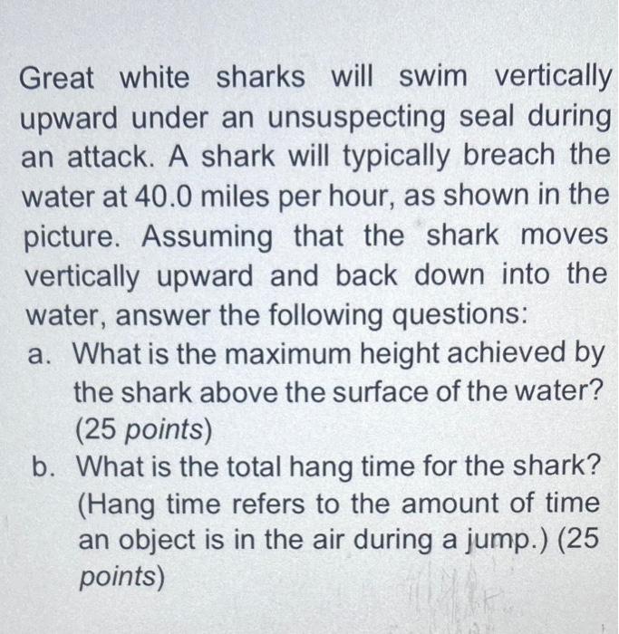 Solved Great white sharks will swim vertically upward under | Chegg.com