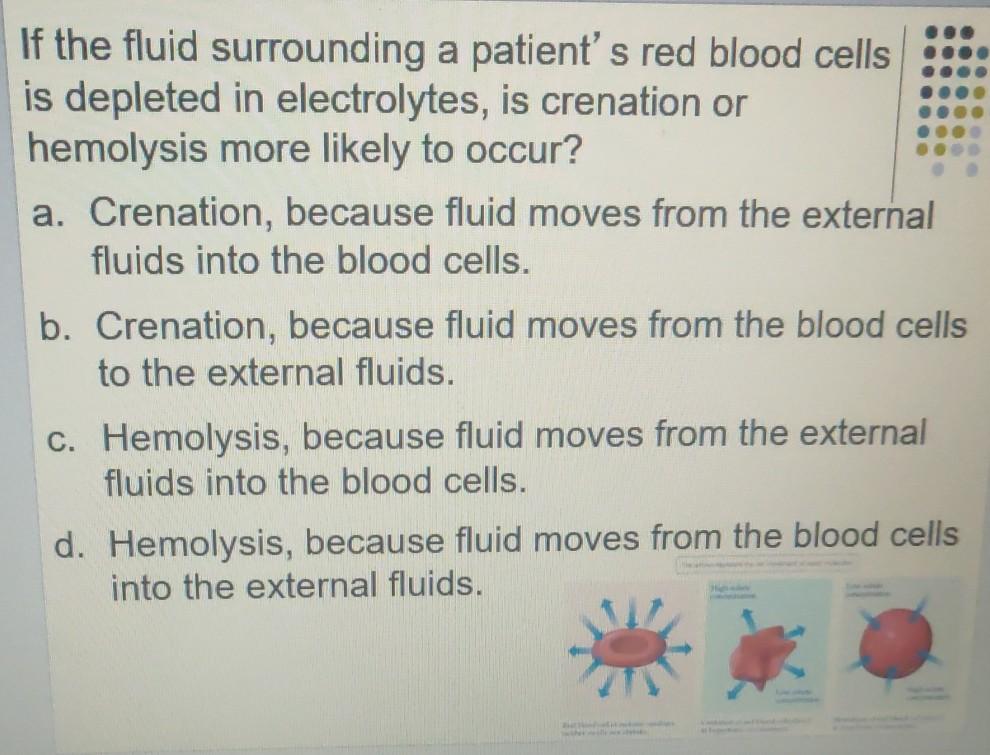 Solved If the fluid surrounding a patient's red blood cells | Chegg.com