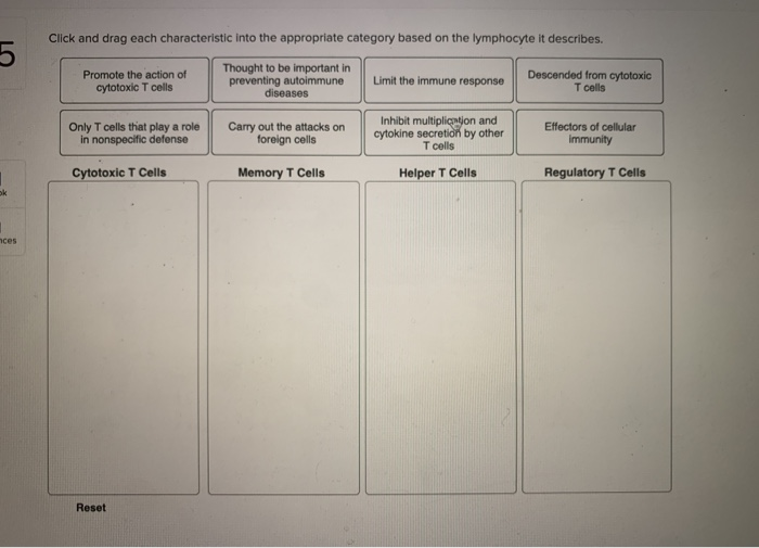 Solved Click and drag each characteristic into the | Chegg.com