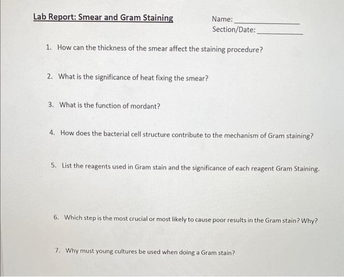 Solved Lab Report: Smear and Gram Staining Name: | Chegg.com
