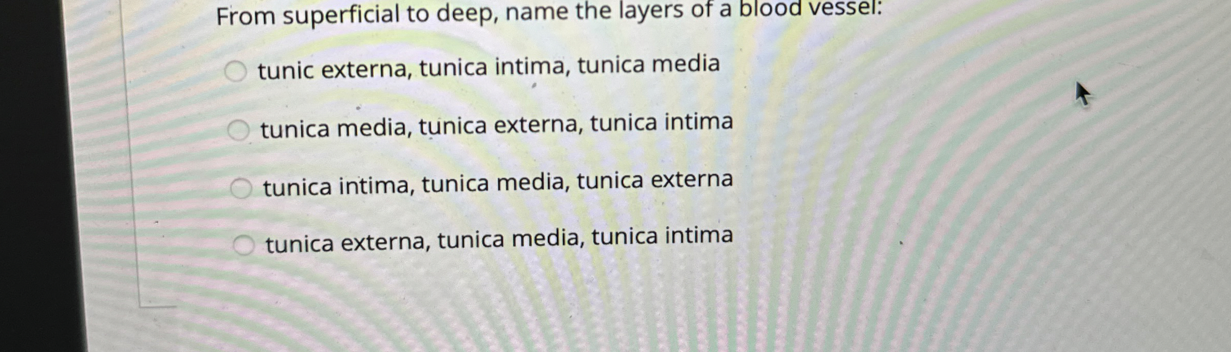 Solved From superficial to deep, name the layers of a blood | Chegg.com