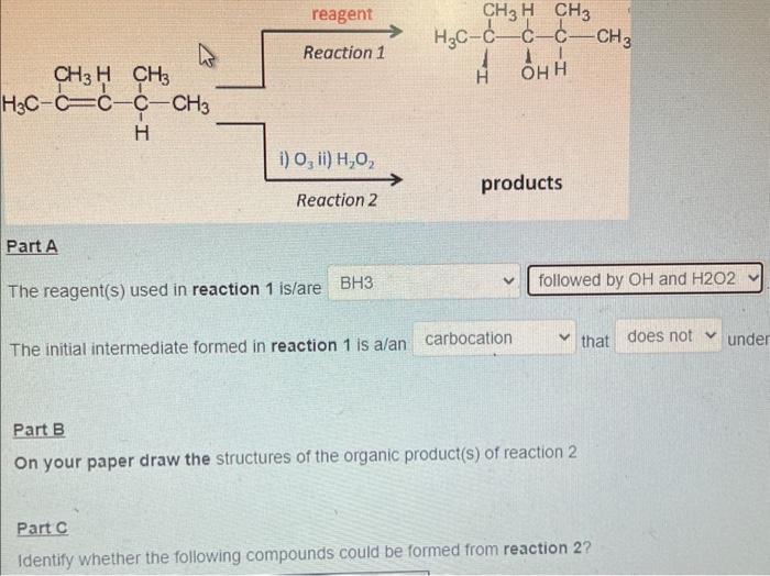 Solved The reagent(s) used in reaction 1 is/are The initial | Chegg.com