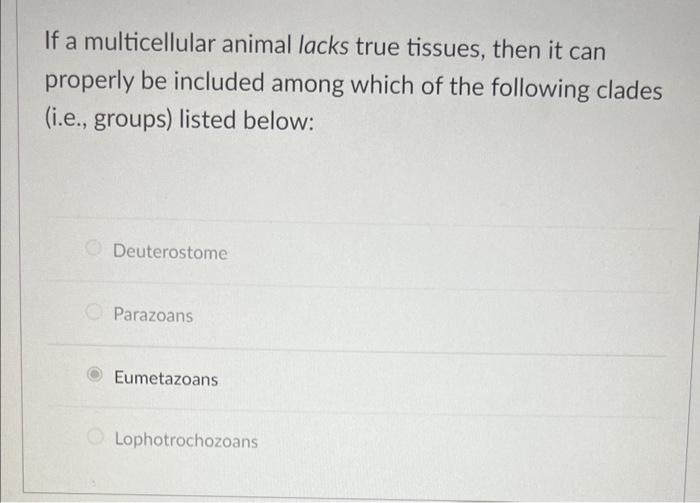 Solved If a multicellular animal lacks true tissues, then it | Chegg.com
