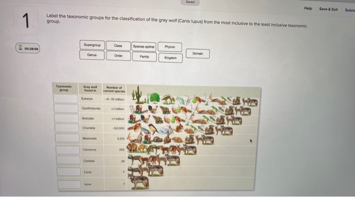 Solved Saved Help Save & Exit Sub 1 1 Label the taxonomic | Chegg.com