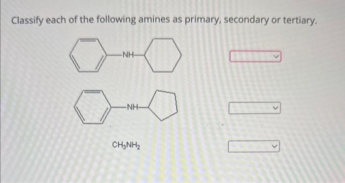 Solved Classify each of the following amines as primary, | Chegg.com