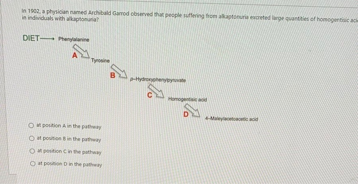 Solved In 1902, a physician named Archibald Garrod observed | Chegg.com