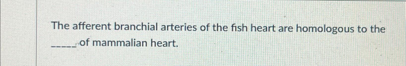 Solved The afferent branchial arteries of the fish heart are | Chegg.com