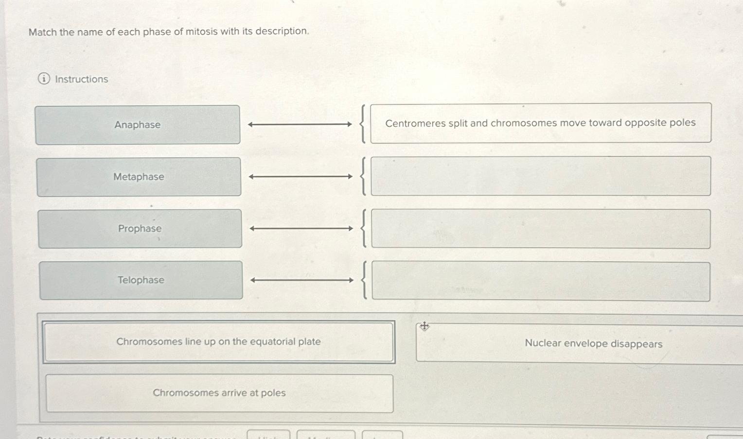 Solved Match the name of each phase of mitosis with its | Chegg.com
