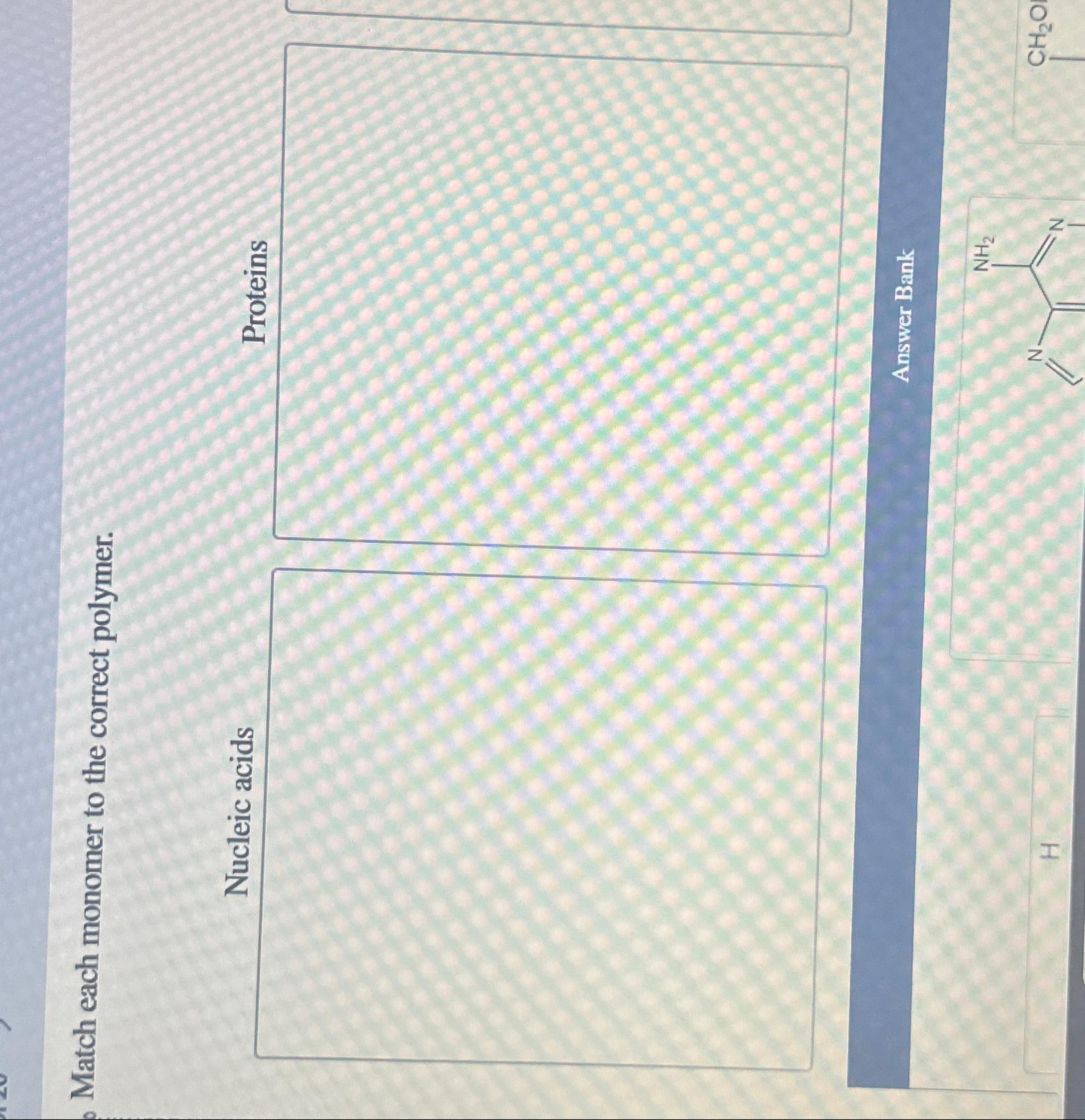 Solved Match Each Monomer To The Correct Polymernucleic