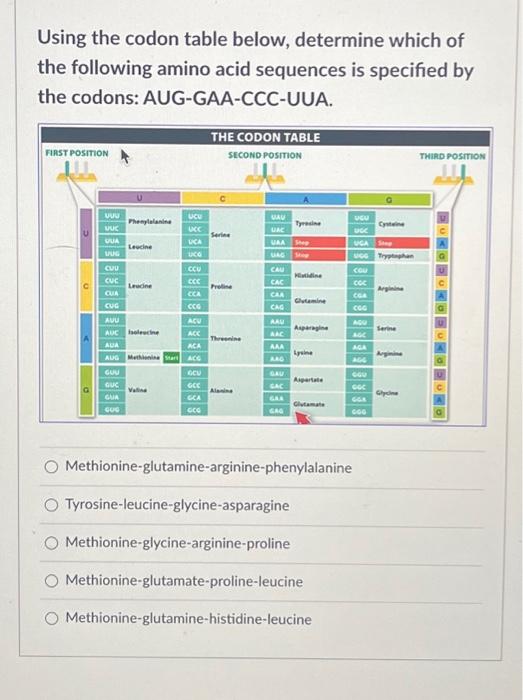 Solved Using the codon table below, determine which of the | Chegg.com