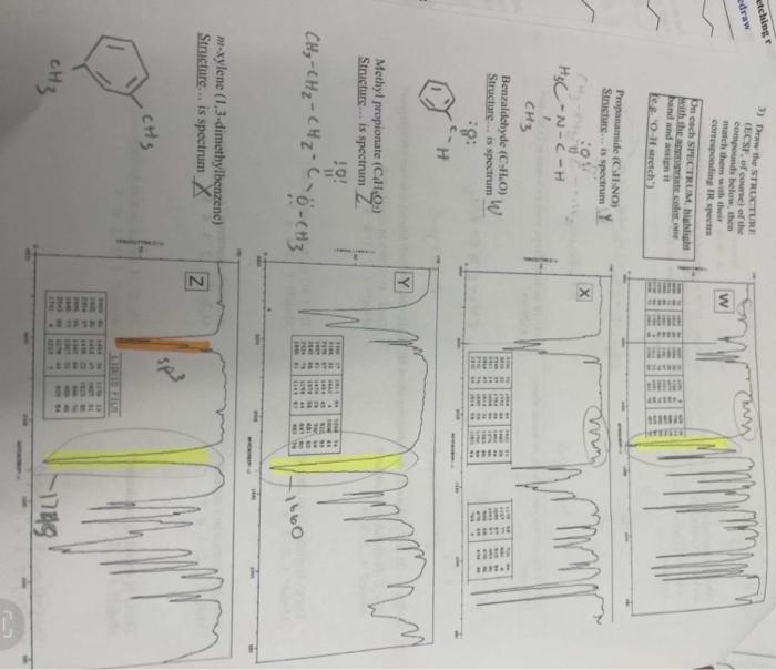 m-xylene (1,3-dimethylbenzene) Structure... is | Chegg.com