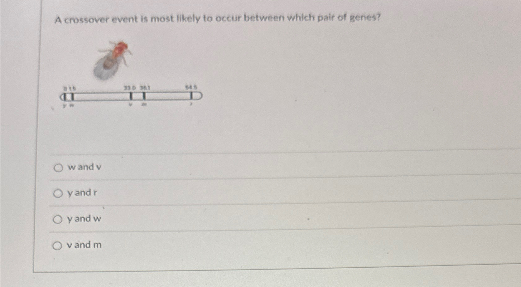 Solved A crossover event is most likely to occur between | Chegg.com