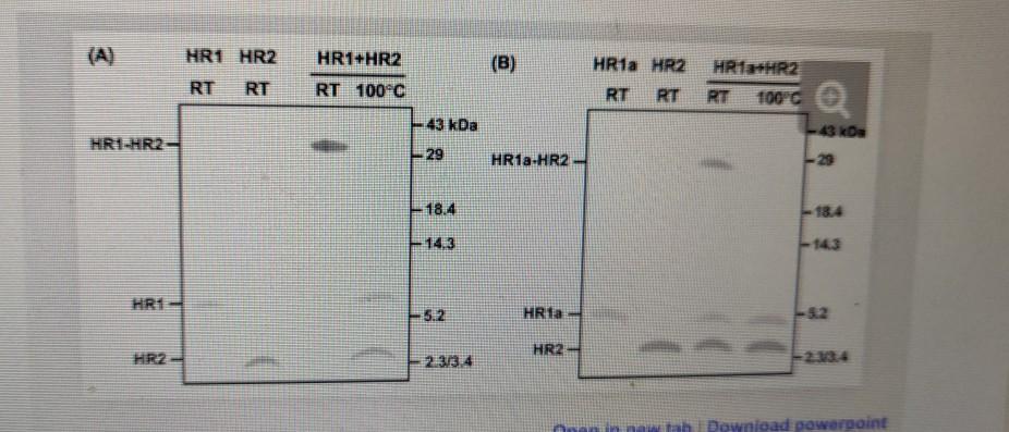 Solved (A) HR1 HR2 HR1+HR2 (B) HR1a HR2 HR-HR2 RT RT RT | Chegg.com