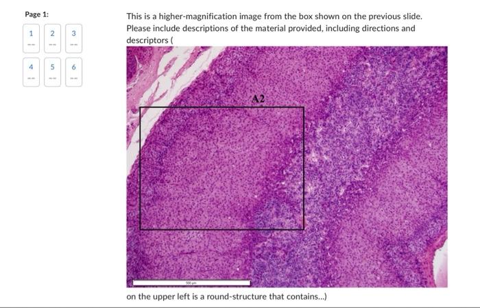 Solved This is a higher-magnification image from the box | Chegg.com