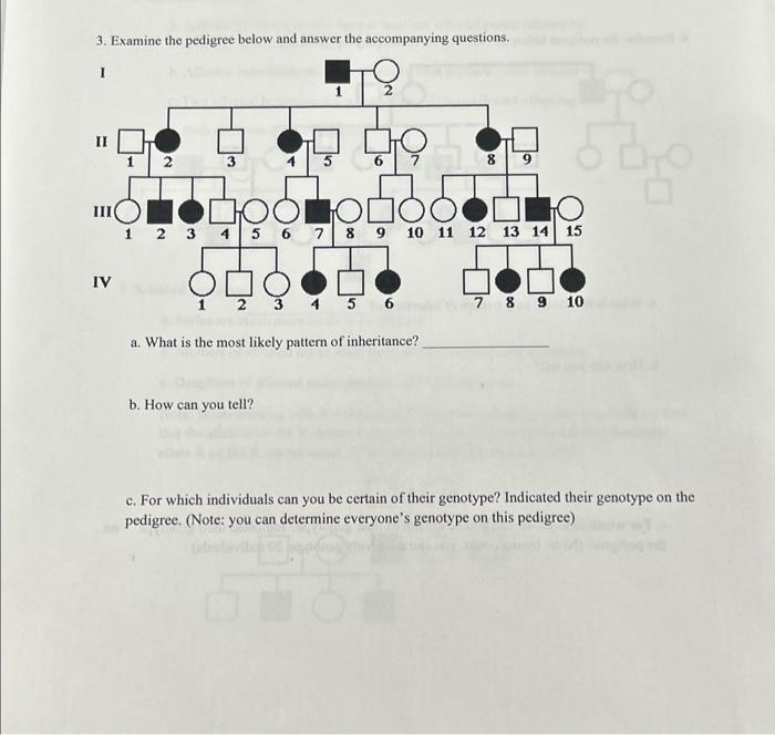 Solved 3. Examine the pedigree below and answer the | Chegg.com
