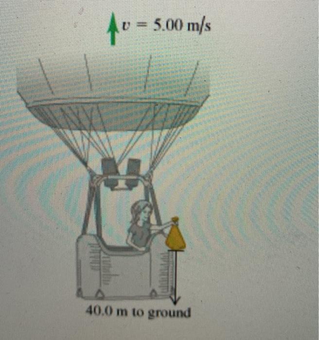 Solved A hot-air balloonist, rising vertically with a | Chegg.com