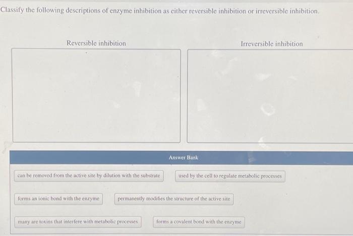 Solved Classify the following descriptions of enzyme | Chegg.com