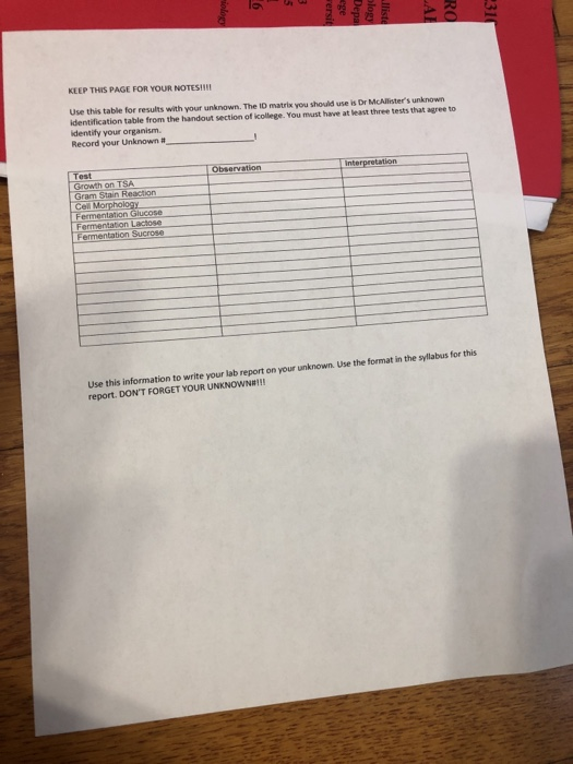 Solved Prelab Exercises for Unknown Labs 1. List the first | Chegg.com