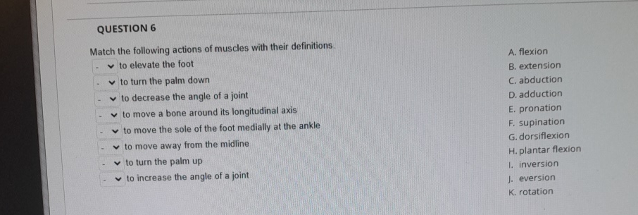 Solved QUESTION 6Match the following actions of muscles with | Chegg.com