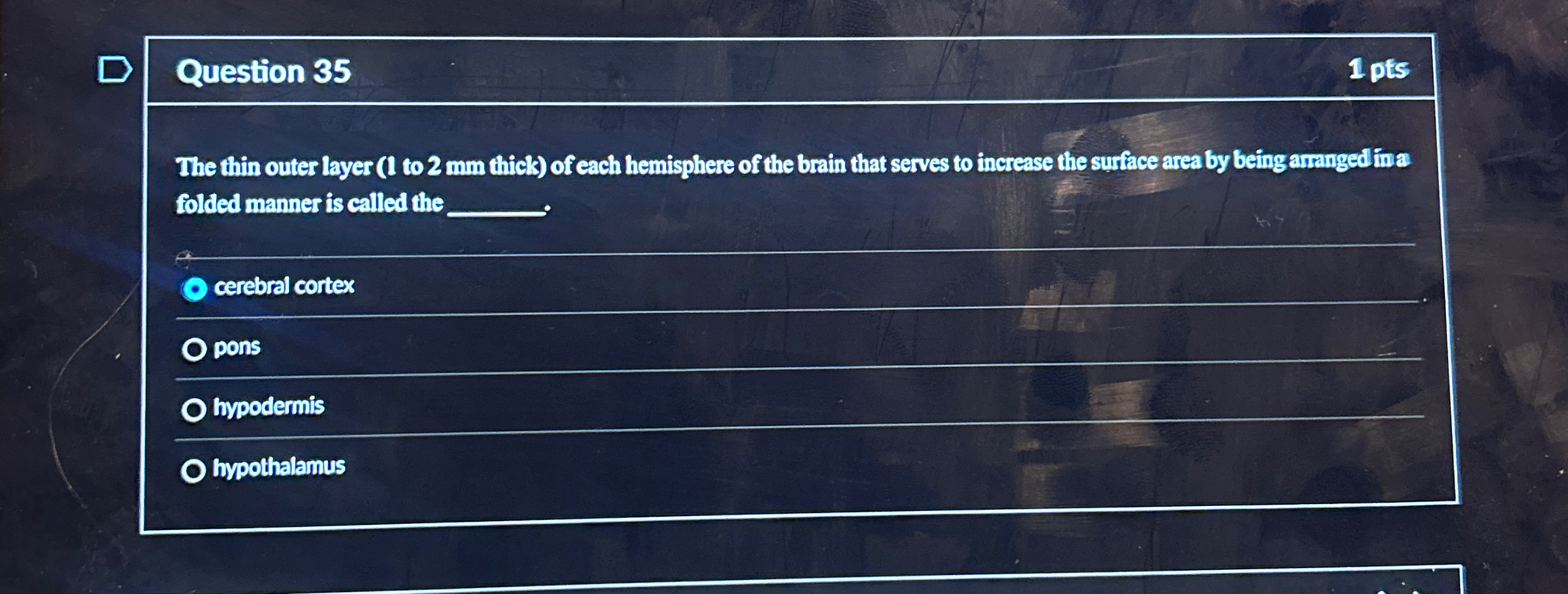 Solved Question 351 ﻿ptsThe thin outer layer ( 1 ﻿to 2 ﻿mm | Chegg.com