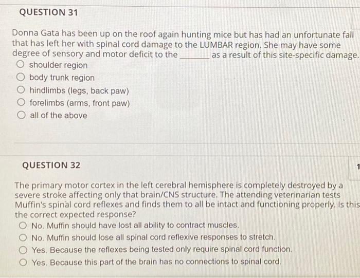 Solved In a spinal cord monosynaptic stretch reflex arc, the | Chegg.com