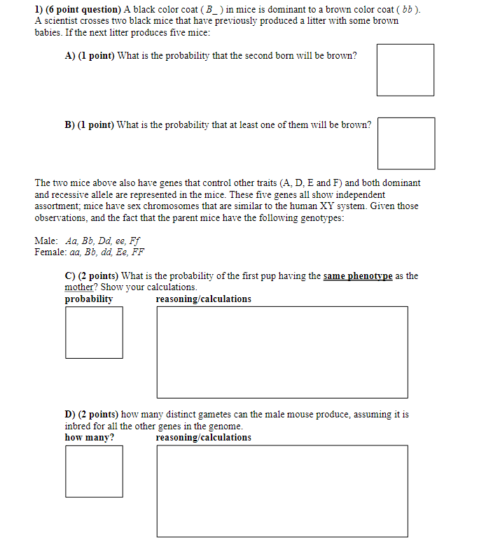 Solved (6 ﻿point question) ﻿A black color coat ( B- | Chegg.com