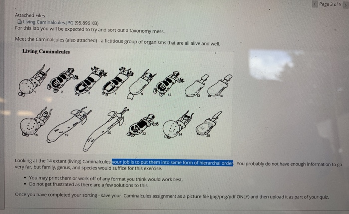 Solved Page 3 of 5 Attached Files Living Caminalcules.JPG | Chegg.com