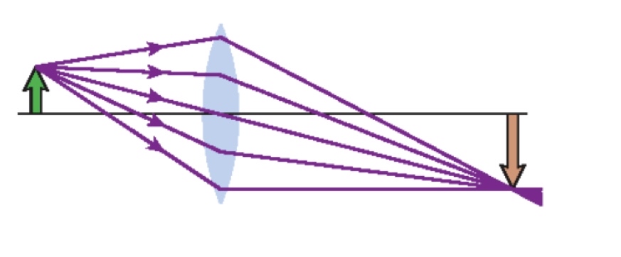 Solved The figure shows a converging lens creating an image. | Chegg.com