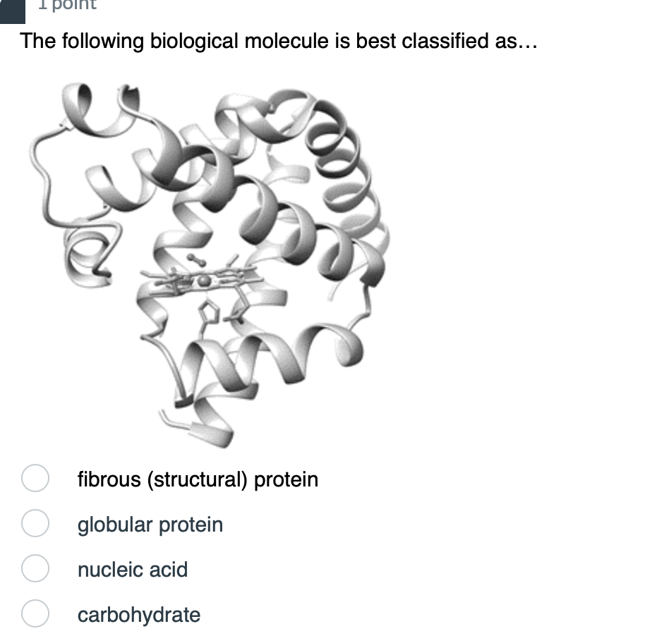 Solved The following biological molecule is best classified | Chegg.com
