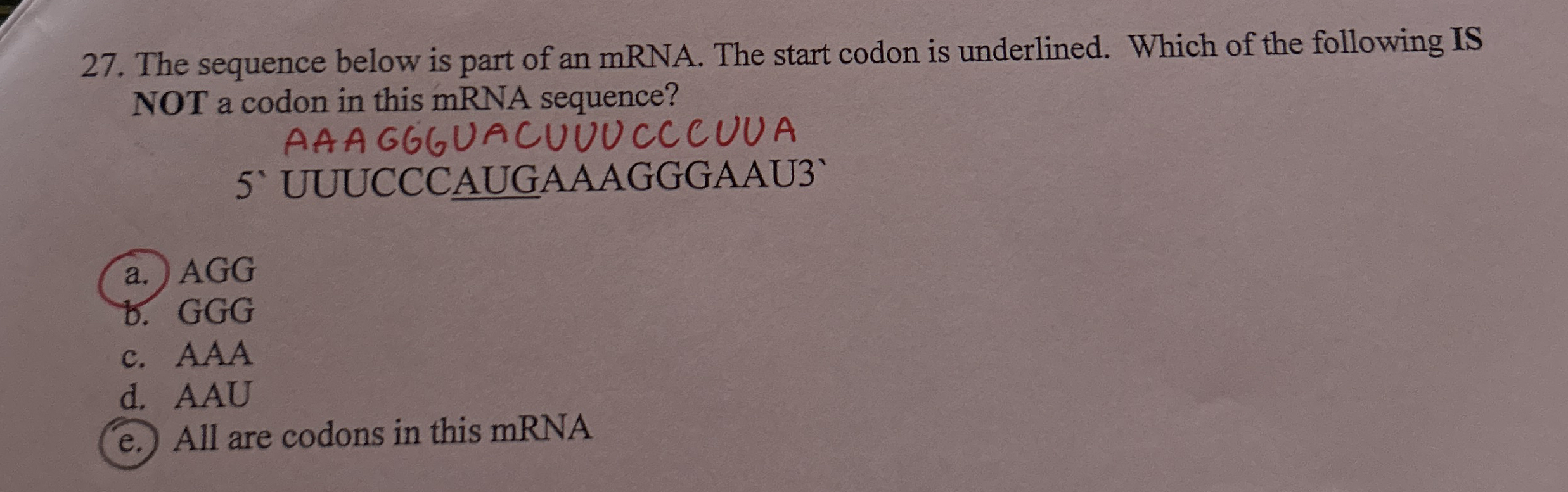 Solved The sequence below is part of an mRNA. The start | Chegg.com