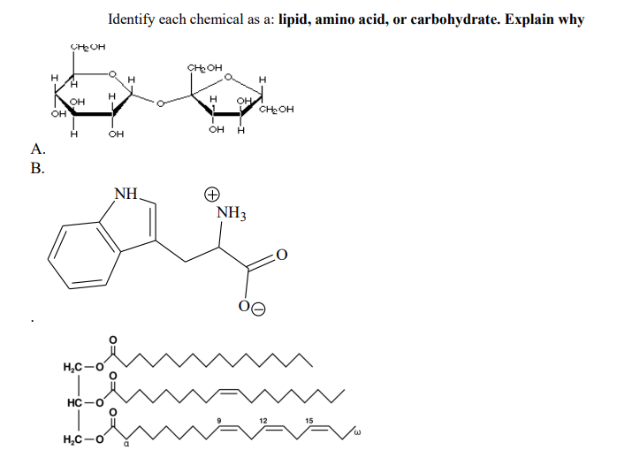 Solved Identify each chemical as a: lipid, amino acid, or | Chegg.com