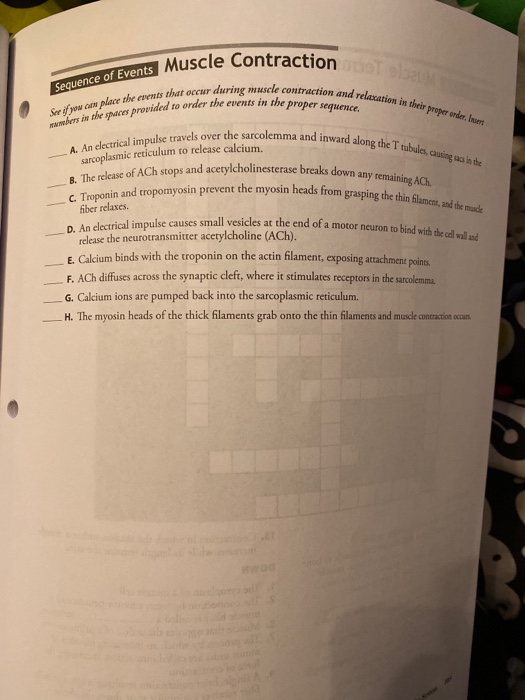Solved Test Your Know 1. A single muscle cell is called a: | Chegg.com