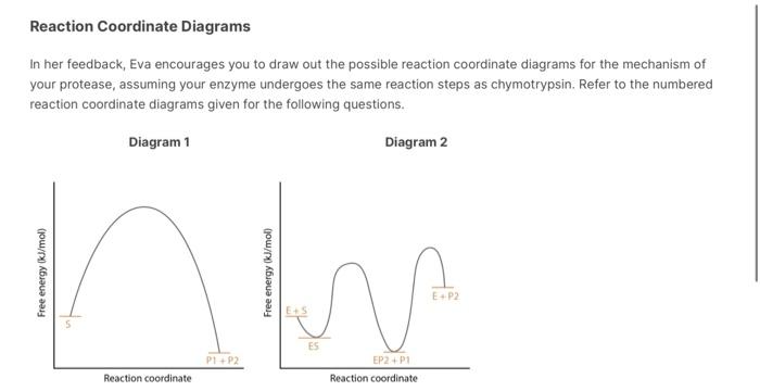 Solved Reaction Coordinate Diagrams In her feedback, Eva | Chegg.com