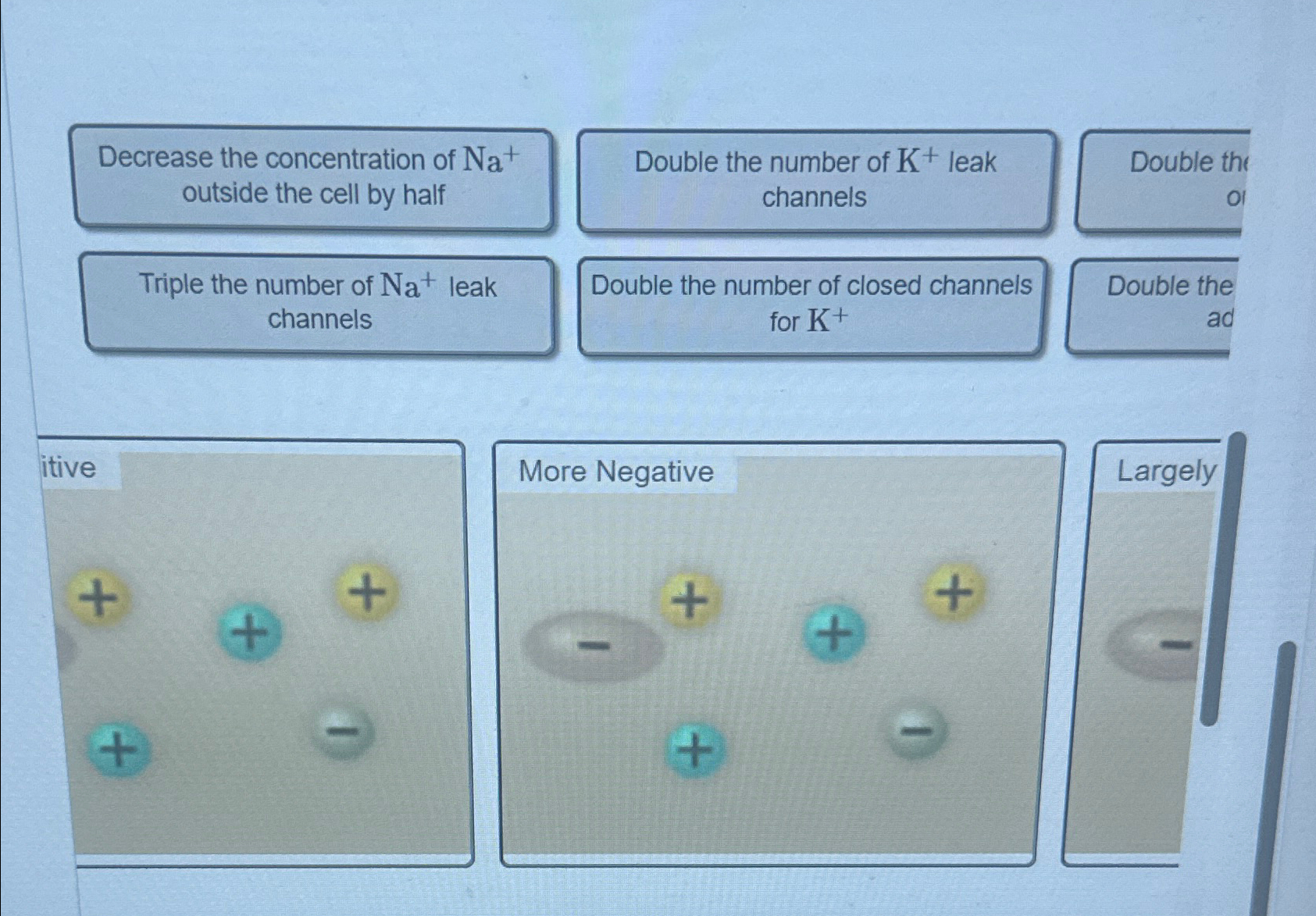 Solved Decrease the concentration of Na+ ﻿outside the cell | Chegg.com