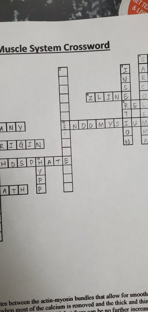 Solved ET TE & LIV Muscle System Crossword s T A N R s C | Chegg.com