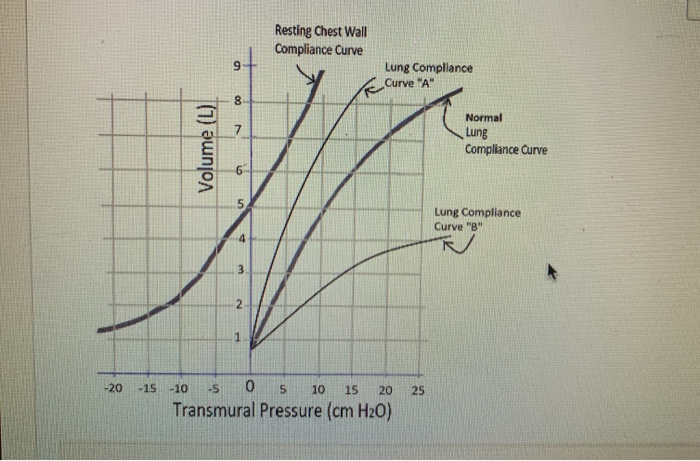 Solved Resting Chest Wall Compliance Curve 000 Lung | Chegg.com