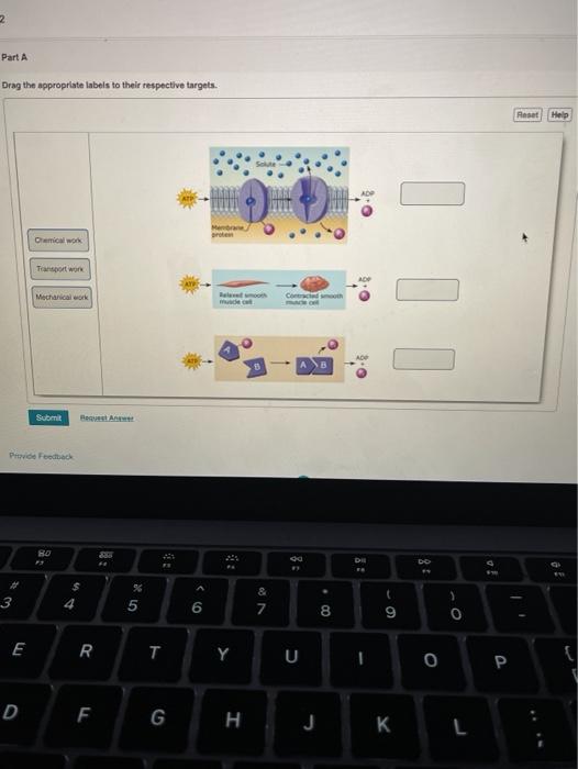 Solved 2 Part A Drag the appropriate labels to their | Chegg.com