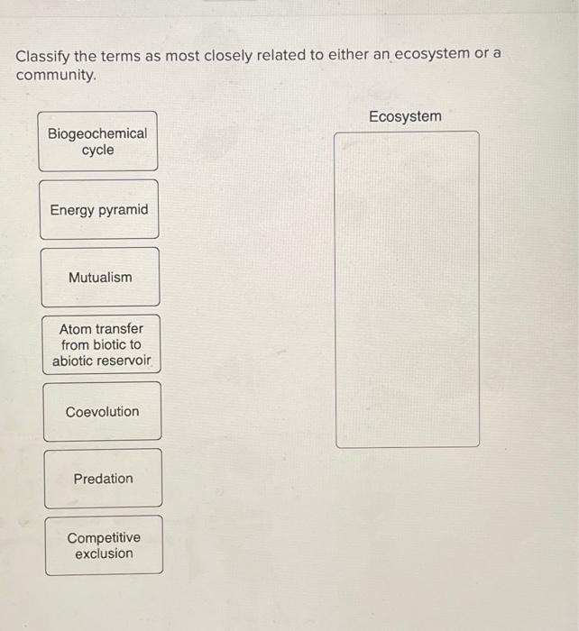 Solved Classify the terms as most closely related to either | Chegg.com