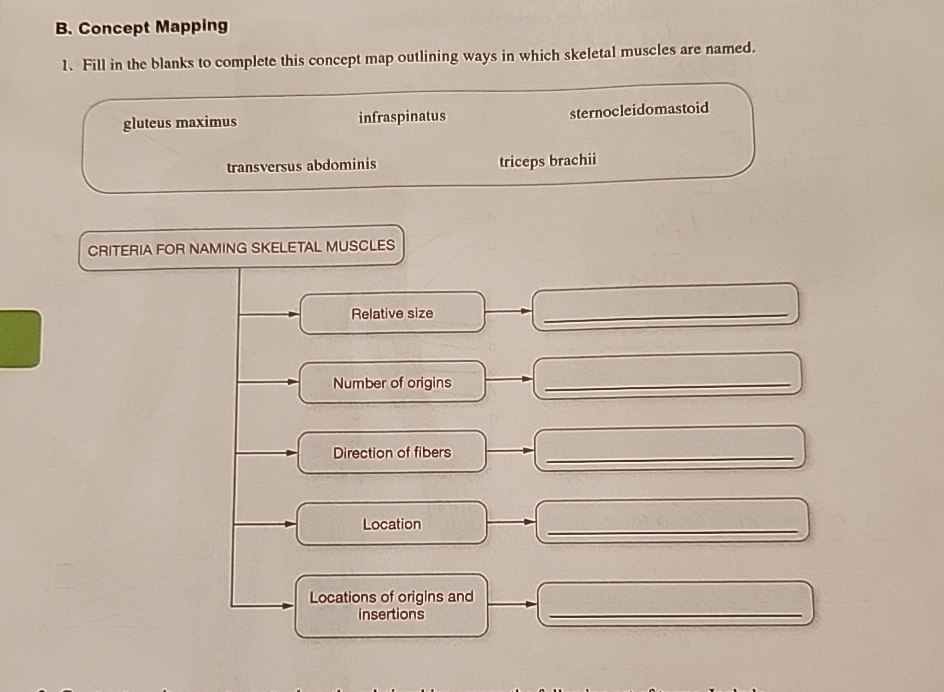 Solved B. ﻿Concept MappingFill in the blanks to complete | Chegg.com