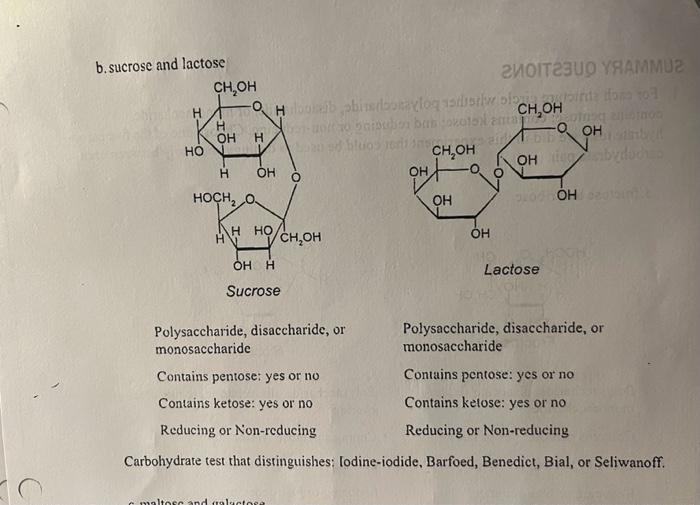 Solved b. sucrose and lactose Lactose Polysaccharide, | Chegg.com